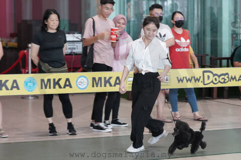dogsmalaysia.my - MKA Portal